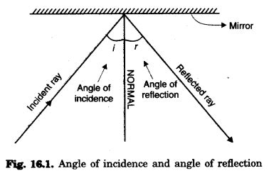 NCERT Solutions For Class Science Chapter Light