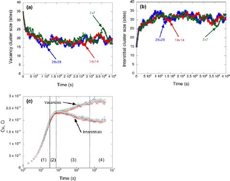 Size Evolution Of An Isolated Defect Cluster During Irradiation With