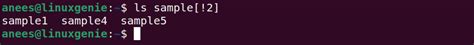 bash globbing explained with real life use cases linux genie
