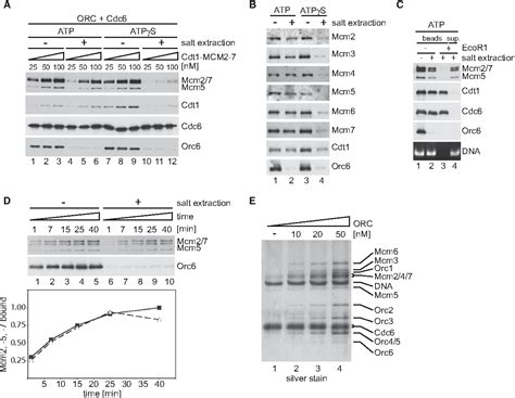 Origin Recognition Complex Semantic Scholar