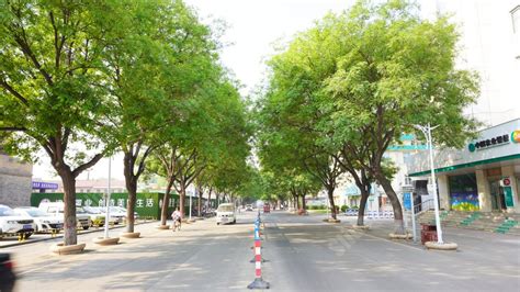 City Greening Urban Traffic Environment Powerpoint Background For Free Download Slidesdocs