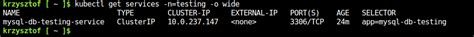 Exposing Pod To Outside World With Mysql Database In Azure Kubernetes Service Stack Overflow