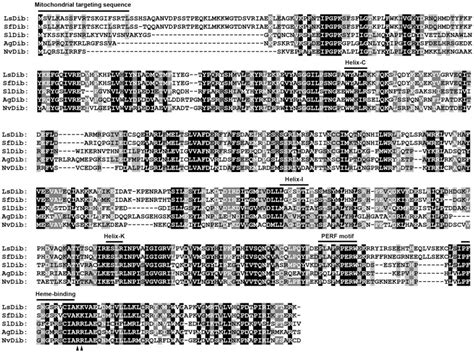 Clustalx 21 Multiple Sequence Alignment Program Were Used Cyp302a1