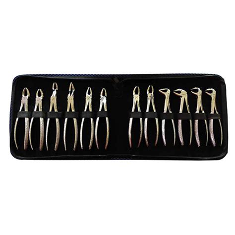 Ace Kit Forcep Adult Set Of 12pcs Garima Dental Suppliers