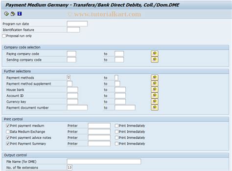 PC00 M46 RFFOD SAP Tcode Bank Transfer Pre Program DME Inter