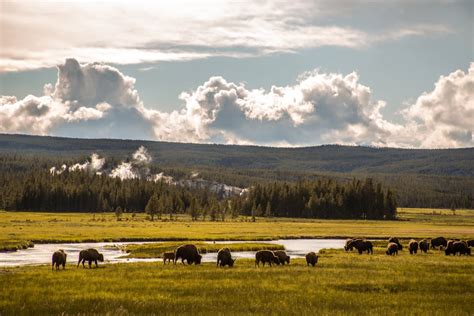 A Day In Yellowstone National Park Exploring Americas Iconic Park