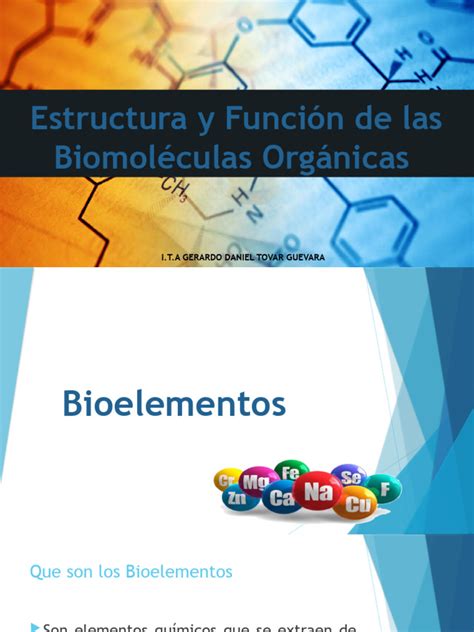 C7 Estructura Y Función De Las Biomoléculas Orgánicas Pdf