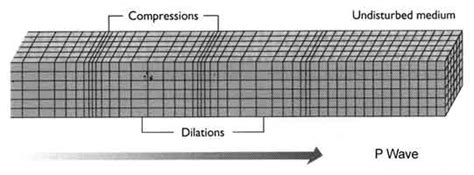 P Waves S Waves And Movement