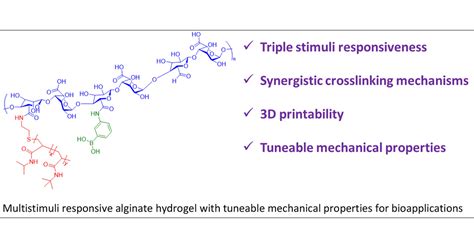 Harnessing The Interplay Of Triple Cross Linked Hydrogels Toward