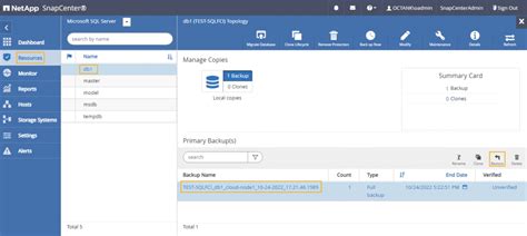 Protect Your Sql Server Workloads Using Netapp Snapcenter With Amazon