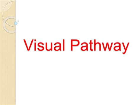 Visual Pathway Pptx