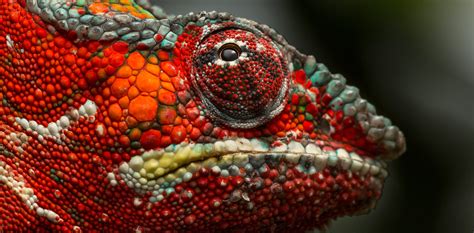 Adaptive Execution Energy Industries Abb