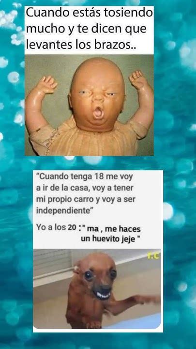 Memes🗿🗿humor Memes Fypシ゚viral Youtube