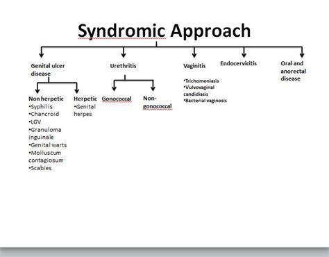 Microbiology Sexual Transmitted Infections