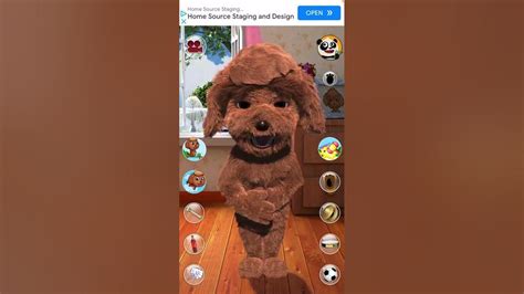 Talking Tyler Randomness 2 Youtube