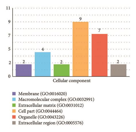 Go Terms Distribution In The Molecular Function A The Biological