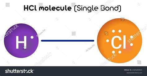 hcl molecule single bond has smaller stock vector royalty free