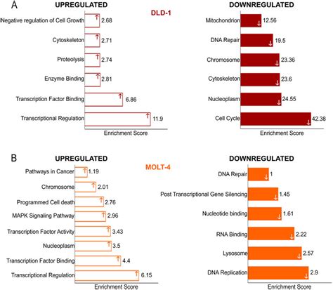 Functional Annotation Of Microarray Data Using David A Functional