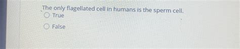 Solved The Only Flagellated Cell In Humans Is The Sperm