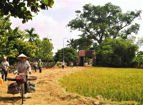 45 Hình Ảnh Làng Quê Việt Nam Xưa Và Nay Đẹp Thanh Bình