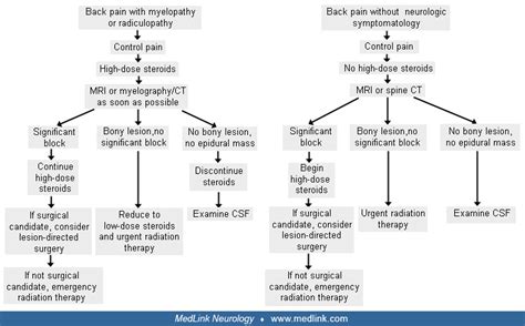 Noms Framework Medlink Neurology