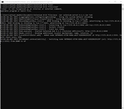 Starting Selenium Grid With Selenium 4 For C Stack Overflow