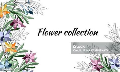 봄 엽서 화려하고 윤곽선 색상이 있는 텍스트용 프레임입니다 장식 종이 카드 인사말 벡터 그림입니다 결혼식에 대한 스톡 벡터 아트 및 기타 이미지 Istock