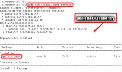How To Install Package Manager On Linux Mint Linux Genie
