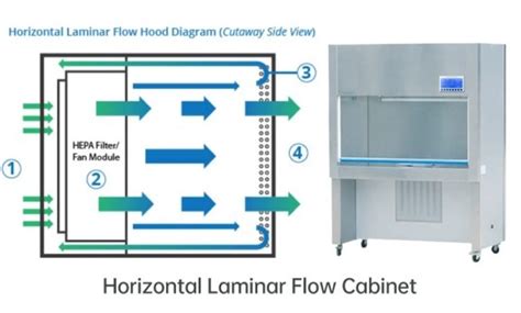 Laminar Flow Cabinets In Clinical Microbiology Types And Functions Drawell