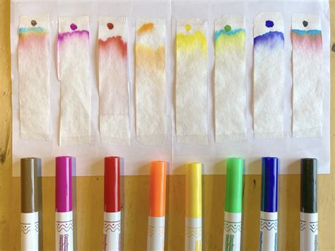 Ink Chromatography Art