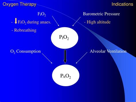 PPT Oxygen Therapy O 2 Delivery Systems PowerPoint Presentation ID 2947308