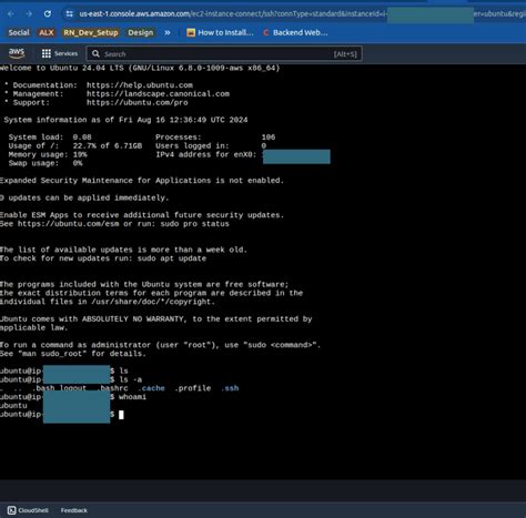 practical guide to set up multiple nodejs apps on aws ec2 instance with