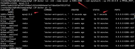 【docker】解决创建mysql容器直接就退出如何关闭docker容器mysql Csdn博客