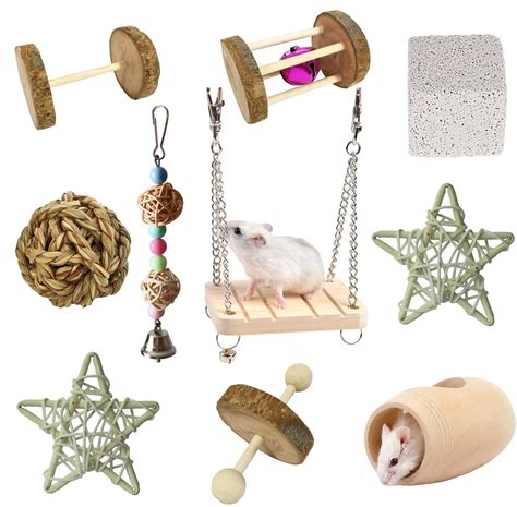 Rat Toys 5 Best Of 2021 Boredom Busters Clean Teeth