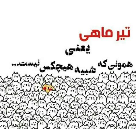 تابستون مبارک😍 🍹 🍒 عکس ویسگون