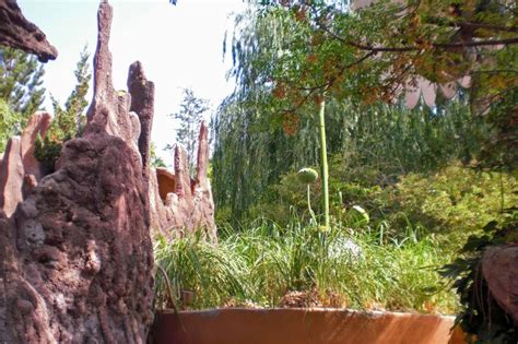 Creative Writing Widgets Unleash Your Imagination