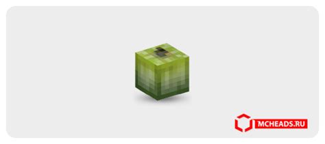 Musk Melon Raw — 42119 — Minecraft Head
