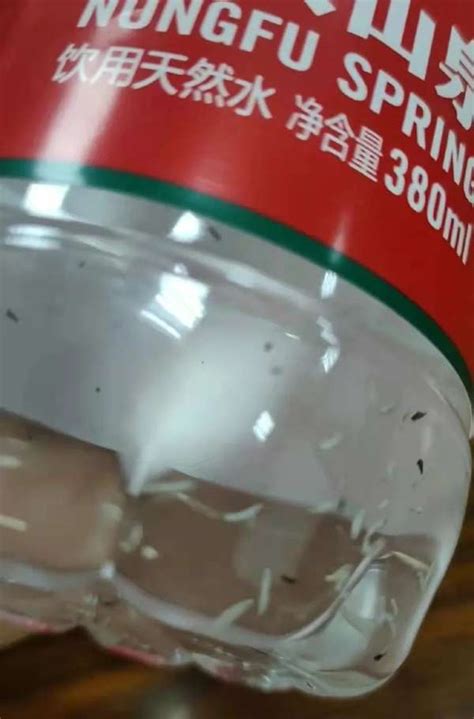 正经社 的想法 农夫山泉蹊跷的蛆虫事件瓶口还没 知乎