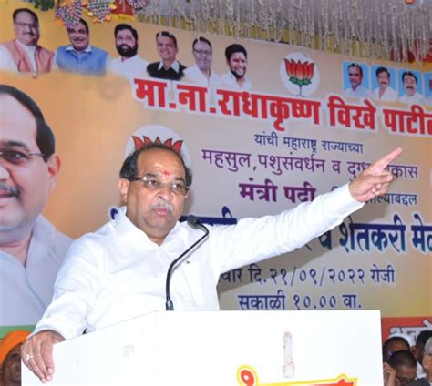 अवैध गौण खनीज आणि बेकायदेशिर वाळू उत्‍खननावर कारवाई सुरूच राहील