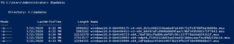 Learn To Bulk Install Windows Msu Files Automatically With Powershell Server Academy
