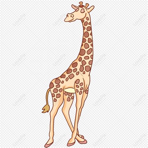 жираф изображение_Фото номер 401536787_PNG Формат изображения_ru ...