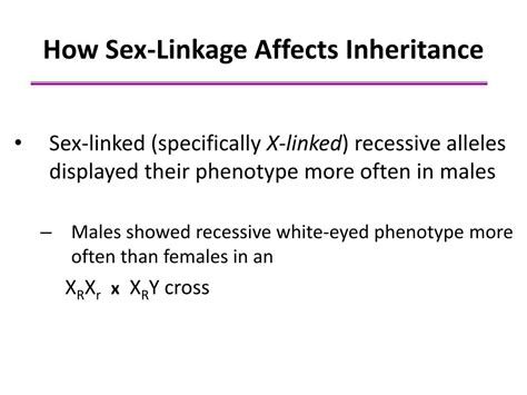 Ppt Chromosomes And Human Inheritance Patterns Of Inheritance