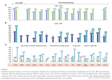 基于两项中国研究，探讨食管癌新辅助免疫治疗的临床应用