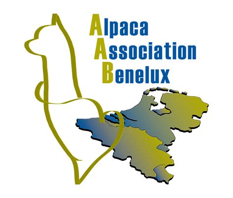 Association 3 Point Grid Test Art Of Fibre