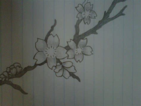 Cherry Blossom Pencil Drawing At Getdrawings Free Download