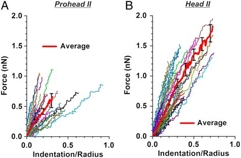 Force Indentation Curves The Thin Lines Show The Individual