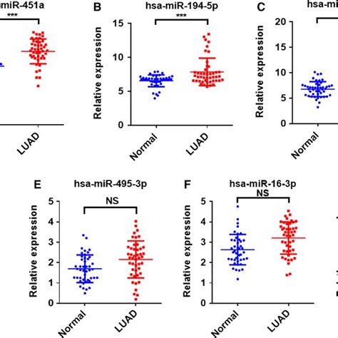 Plasma Ev Mirna Expression Signature Of Luad Patients Before Surgery Download Scientific