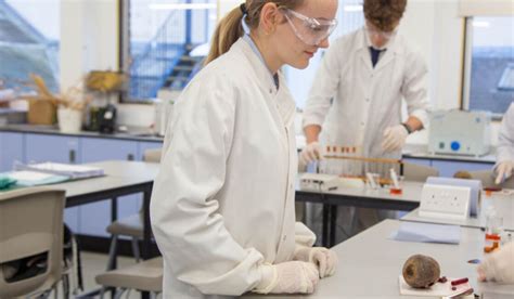 Beetroot Biology Practical Truro School