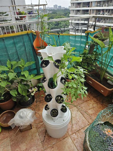 siddharth gupta on linkedin well this works slow but we have a lot of basil s now time for some…