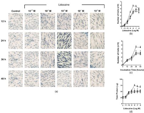 Concentration Response Curve Of Lidocaine Induce Proliferation On Human Download Scientific